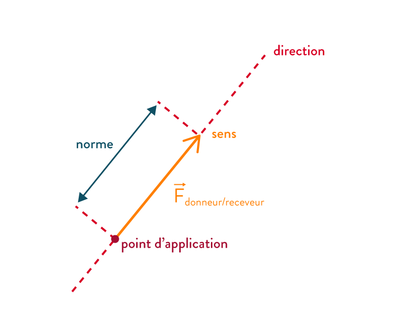 Actions mécaniques & forces 2nde Physique